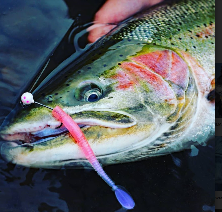 The Best Techniques for Worm Rigging – BNR Tackle